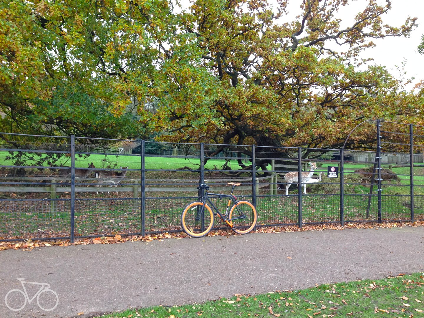 #310 Deer Enclosure - One Shot One Ride